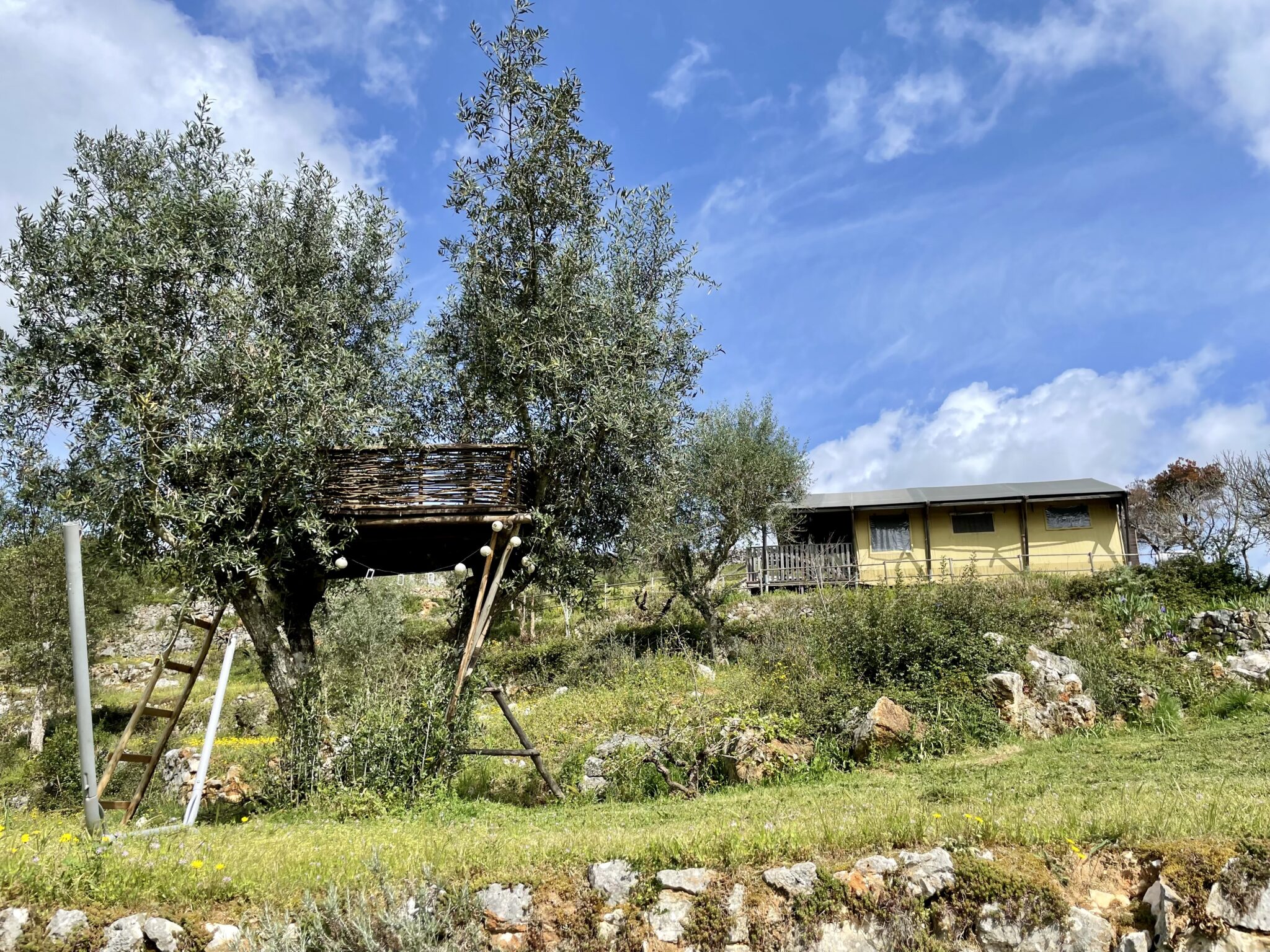 Macieira – B&B Quinta Vida Verde